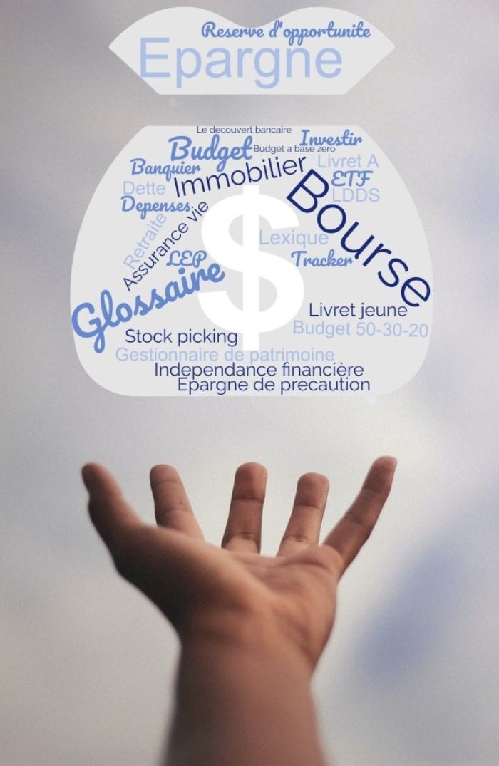 Le vocabulaire de la finance personnelle - Epargne Maîtrisée